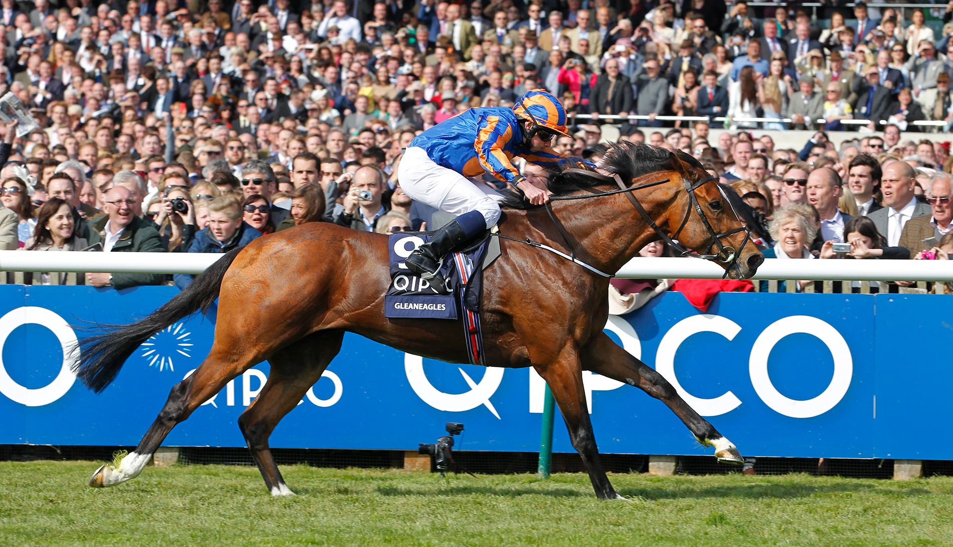 Luxury Network Members Create Joint Royal Ascot Racing Day Promotion ...